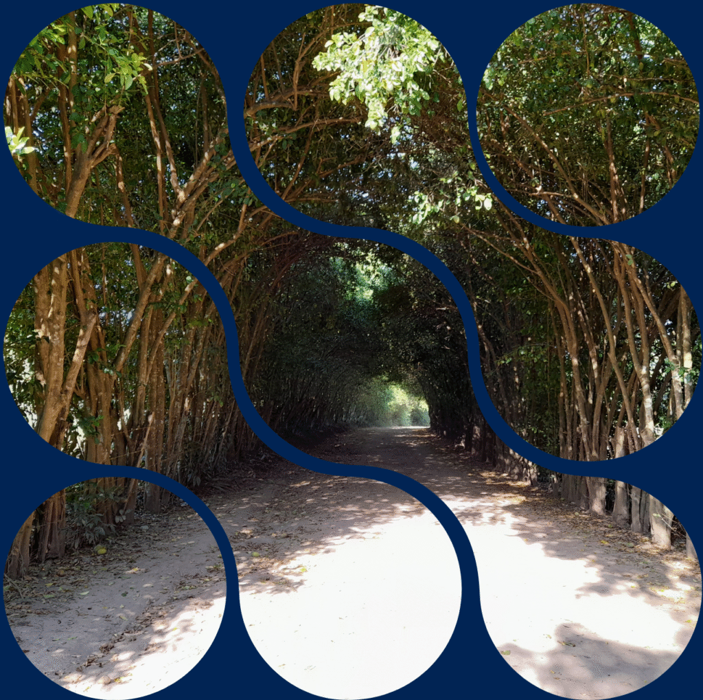 ECOLOGICAL SOLUTIONS GROUP